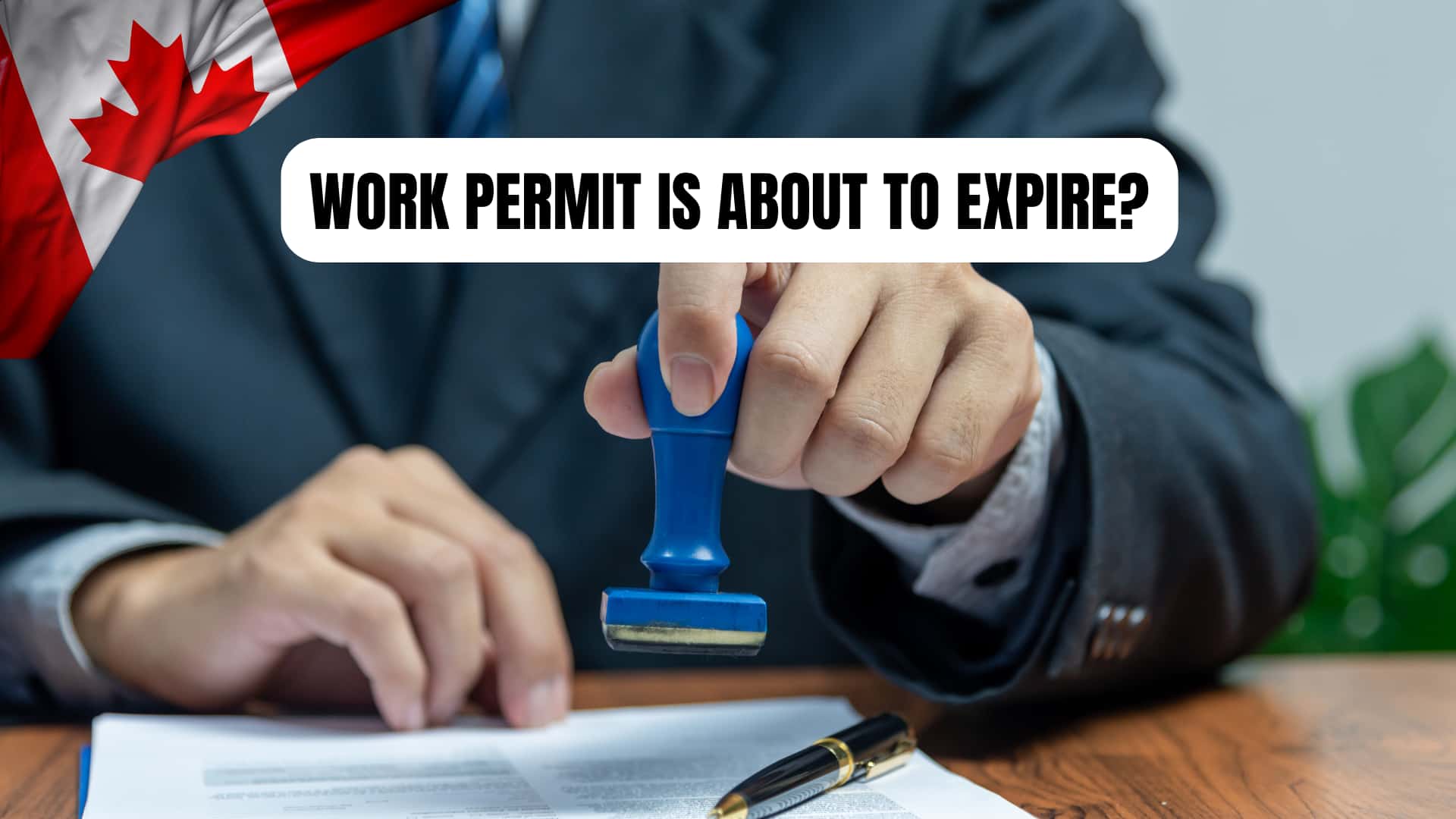 What Are My Options If My Work Permit Is Expiring in Canada?